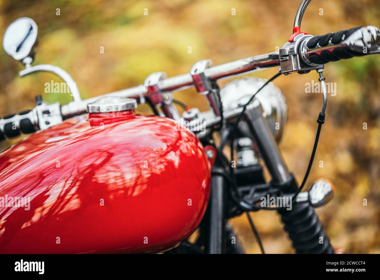 Red custom old fashioned motorcycle on the road in the forest with ...