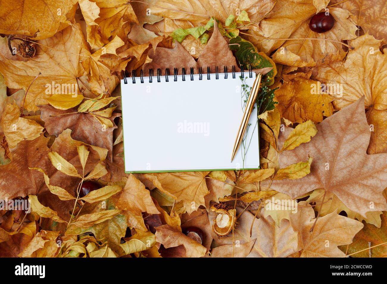 October motivation hi-res stock photography and images - Alamy