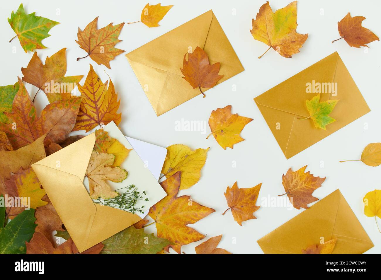 Letter leaves hi-res stock photography and images - Alamy