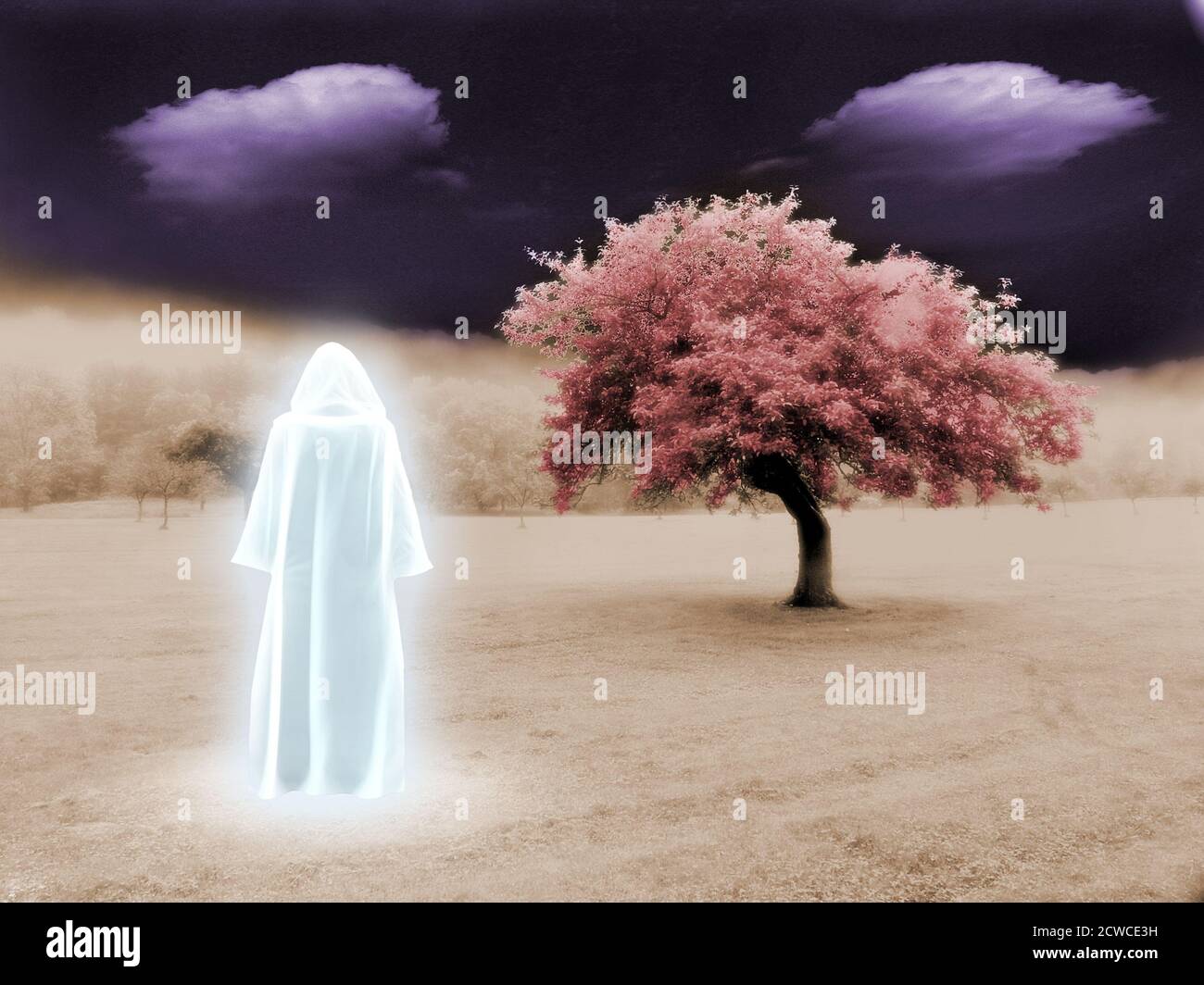 White hooded cloak hi-res stock photography and images - Alamy