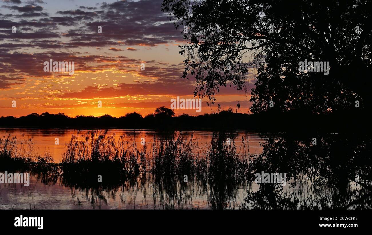 Sunset chobe natural park hi-res stock photography and images - Alamy