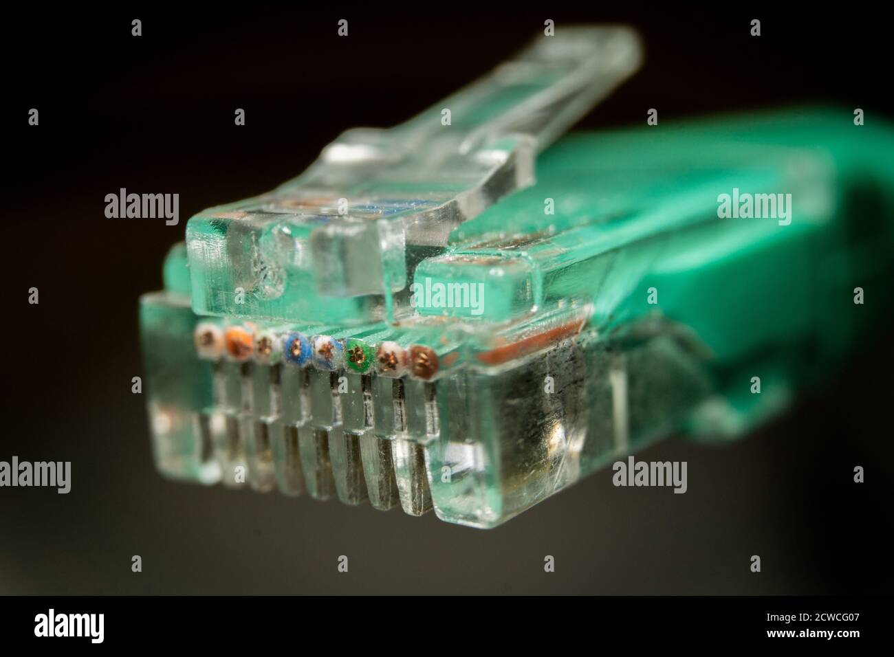 Macro cross section front angle view of RJ45 CAT6 shielded network data ...