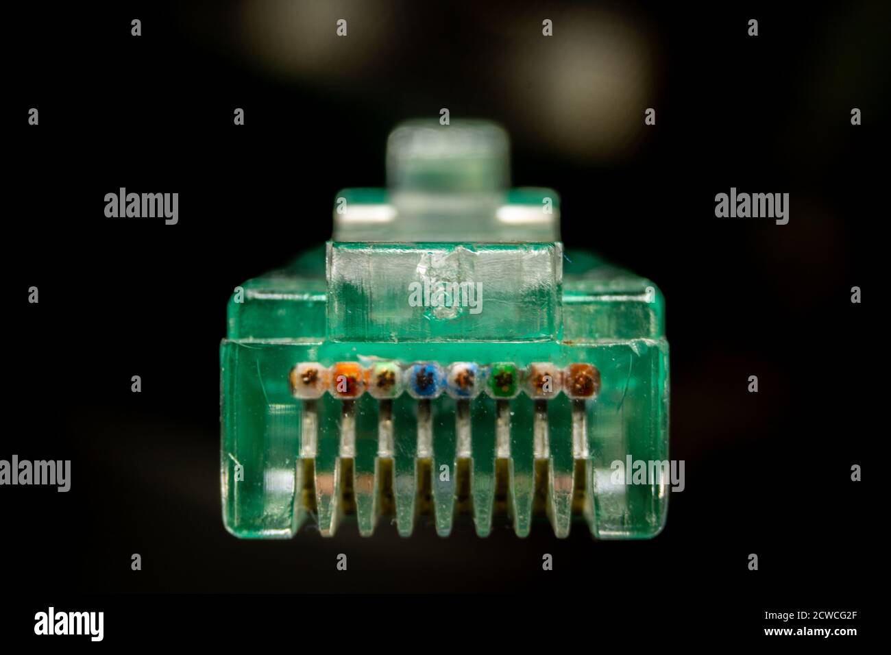 Macro cross section front angle view of RJ45 CAT6 shielded network data ...