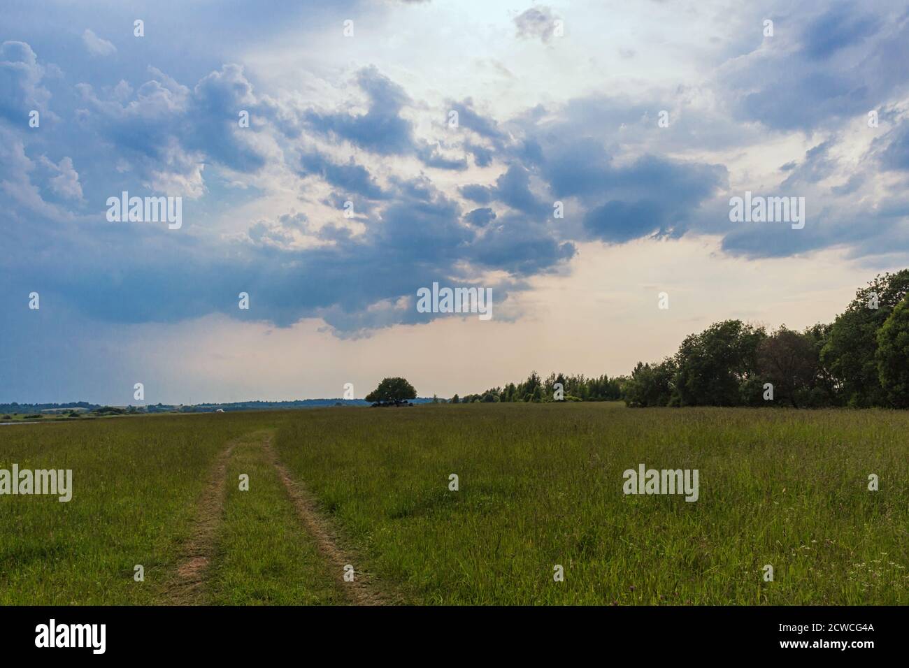 rural landscape with group of trees and evening sky with clouds Stock ...