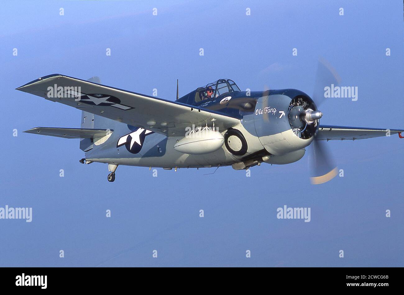 Grumman F4f/FM2 Wildcat WWII Navy-Marine Fighter Stock Photo - Alamy