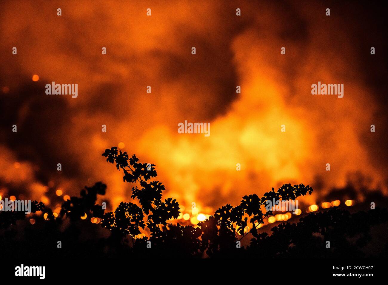 CALISTOGA, CA - SEPTEMBER 28: Wildfire flames from the Glass Fire ...