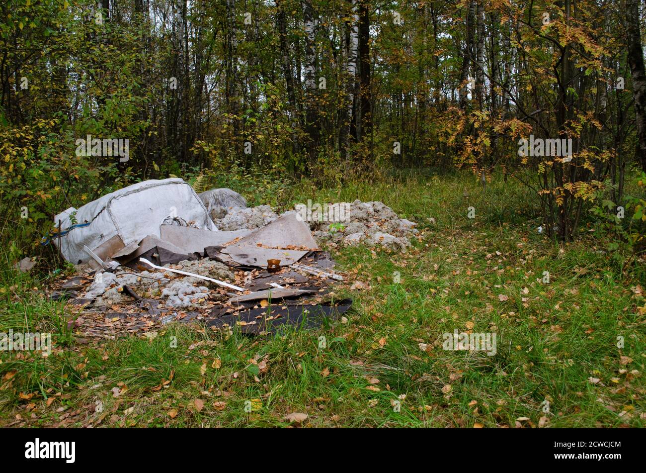 Garbage in the forest. Ecological problem. Plastic, glass, cans Stock ...