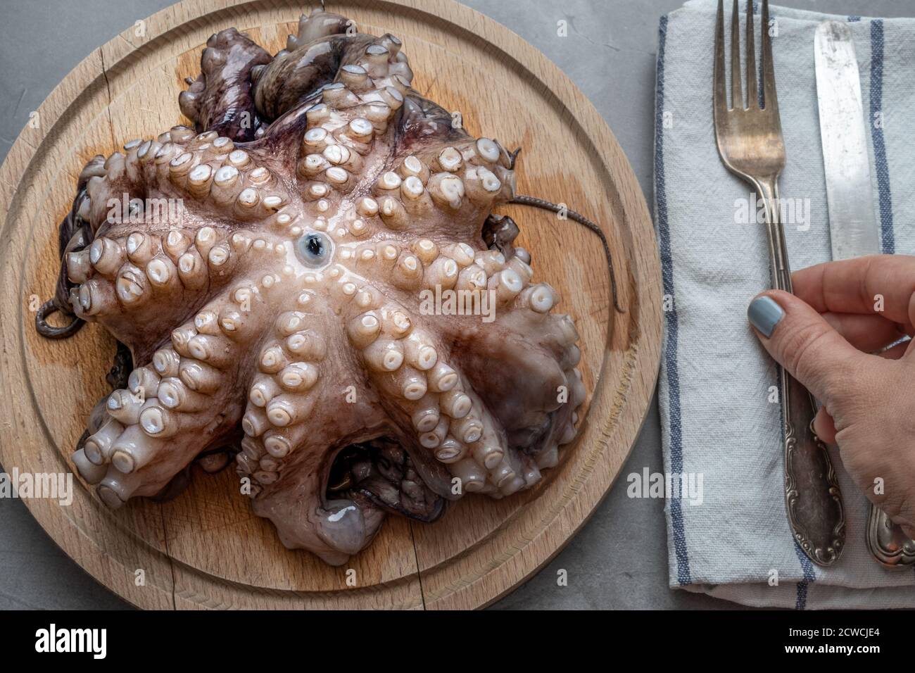 Octopus stone hi-res stock photography and images - Alamy