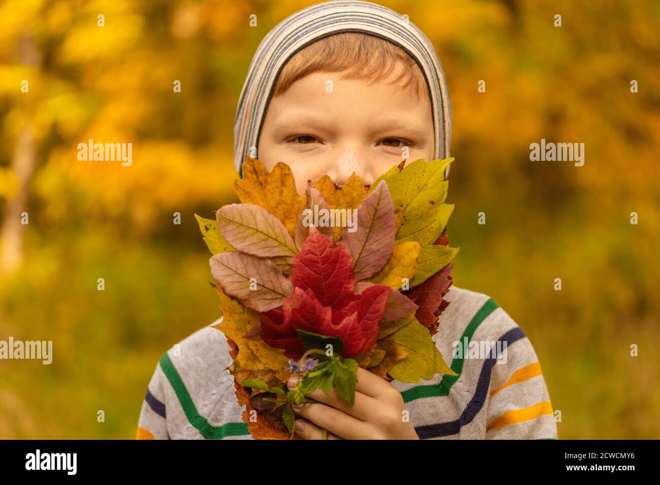 Autumn child. Close-up portrait. Happy boy in fall foliage Stock Photo ...