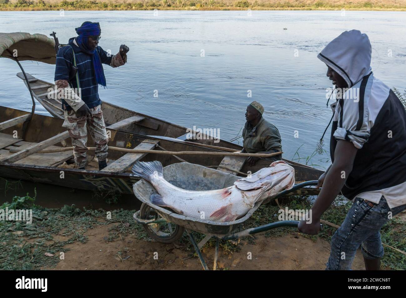 Niger delta fish hi-res stock photography and images - Alamy