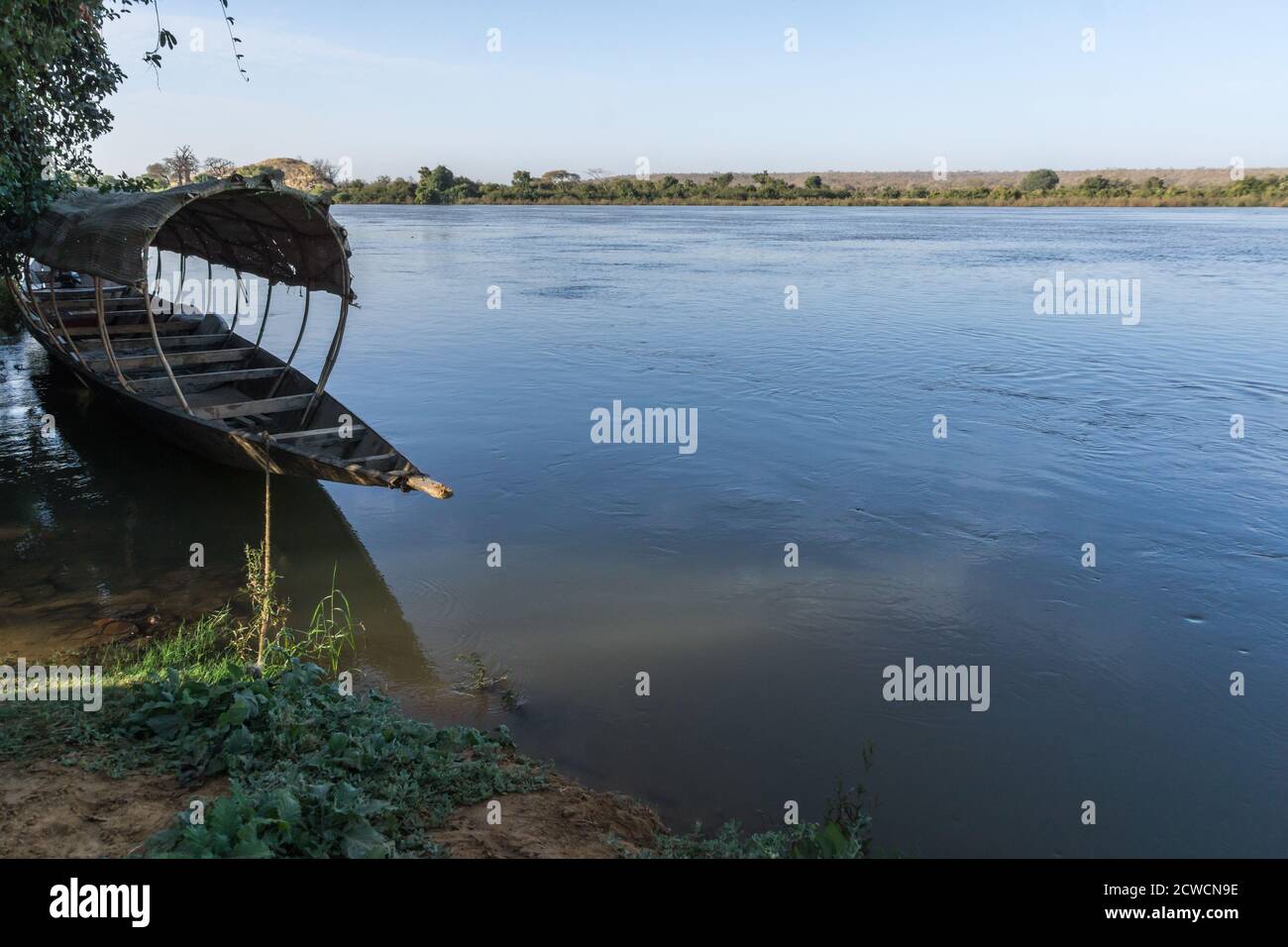 Niger delta fish hi-res stock photography and images - Alamy