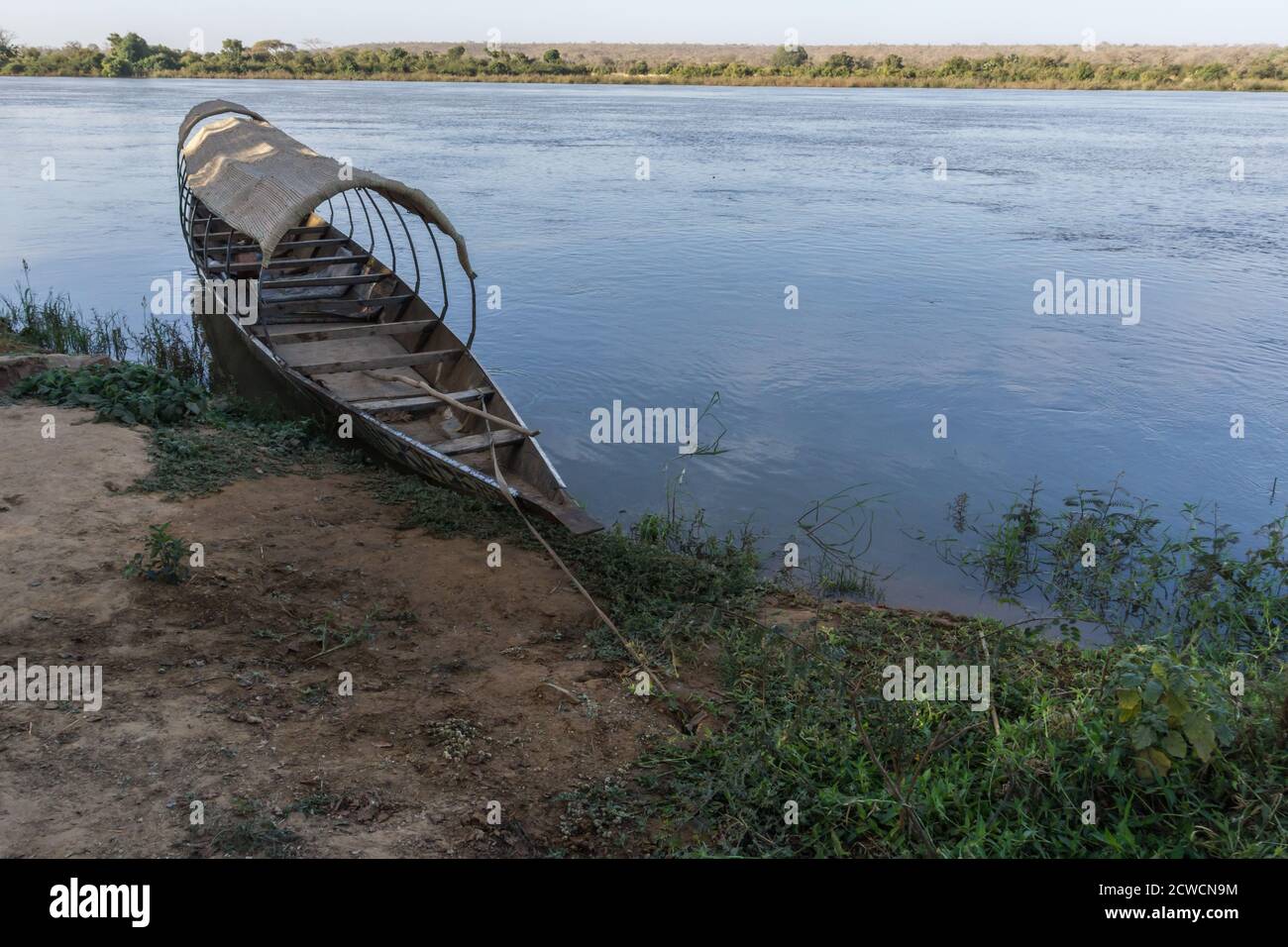 Niger delta fish hi-res stock photography and images - Alamy