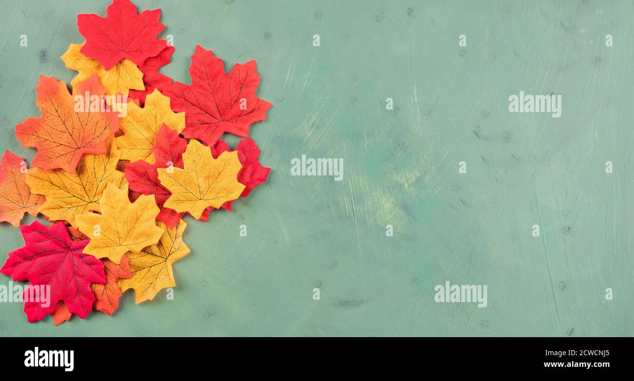 Multi color maple leaves on dark green Stock Photo - Alamy
