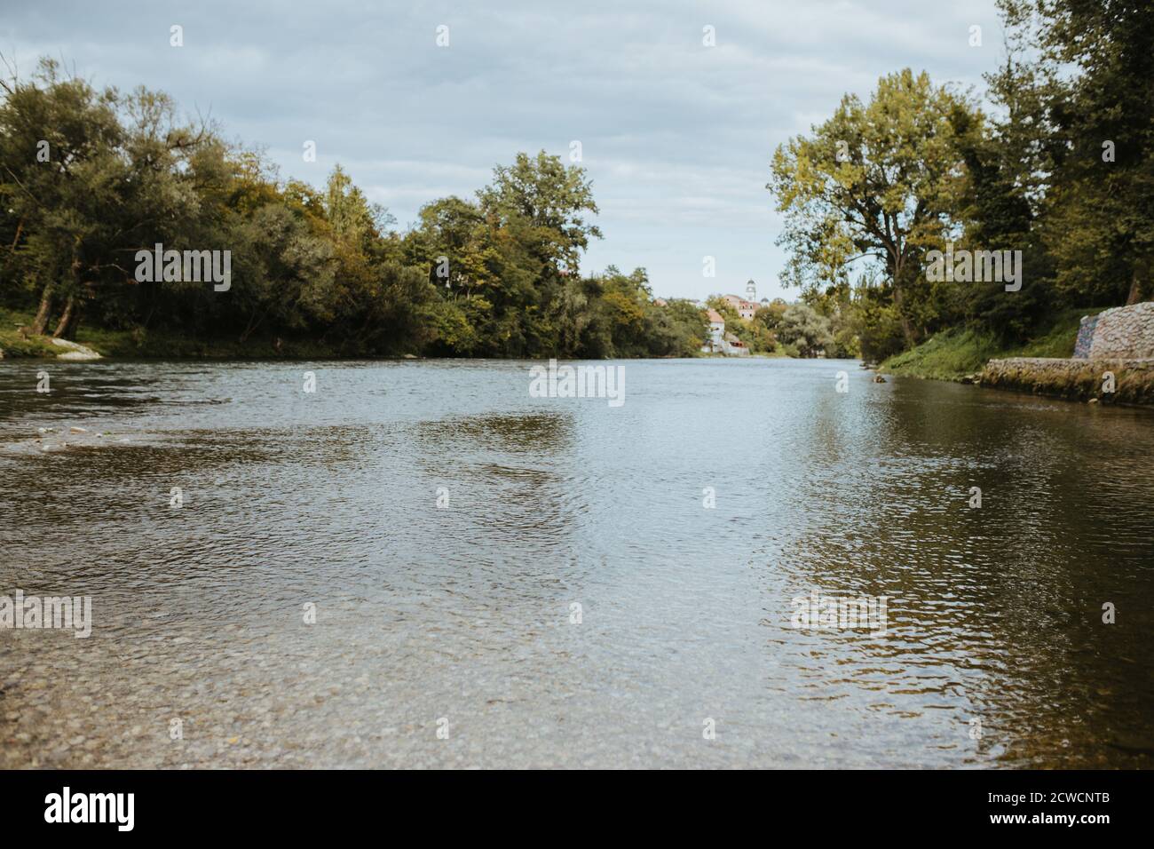 View of dirty water flowing in a river with thick vegetation on the ...