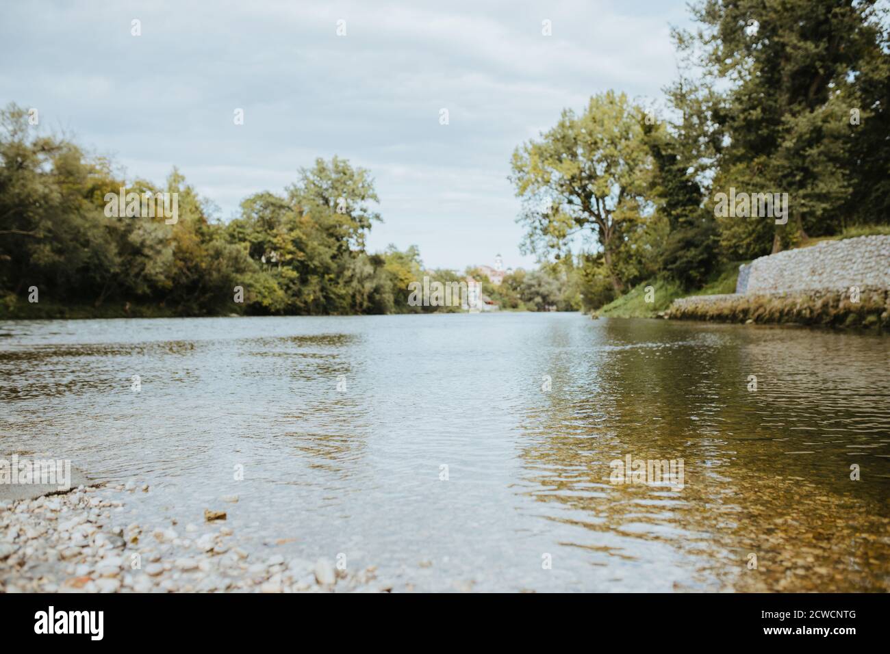 View of dirty water flowing in a river with thick vegetation on the ...