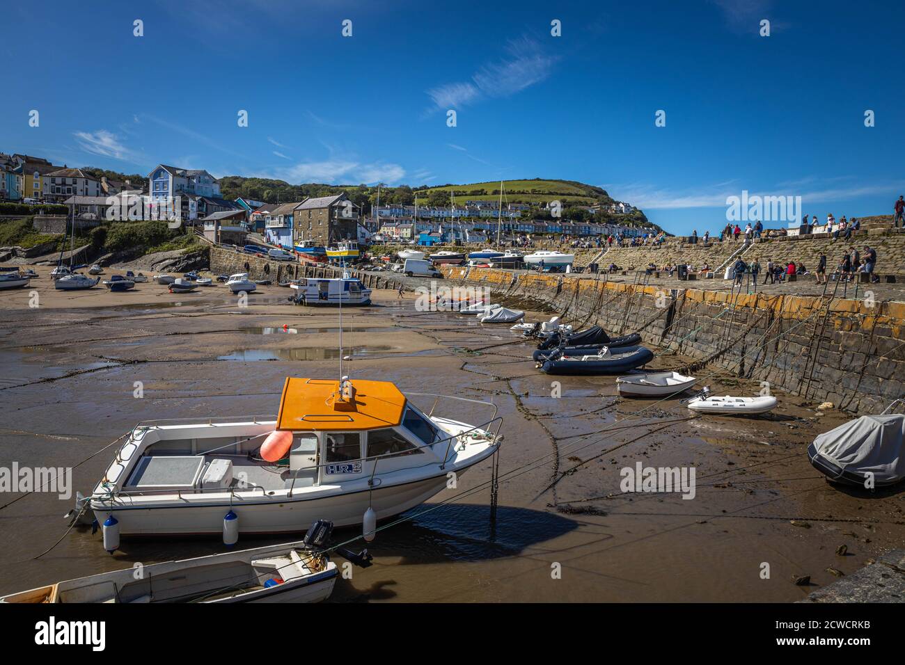 Cardigan wales hi-res stock photography and images - Alamy