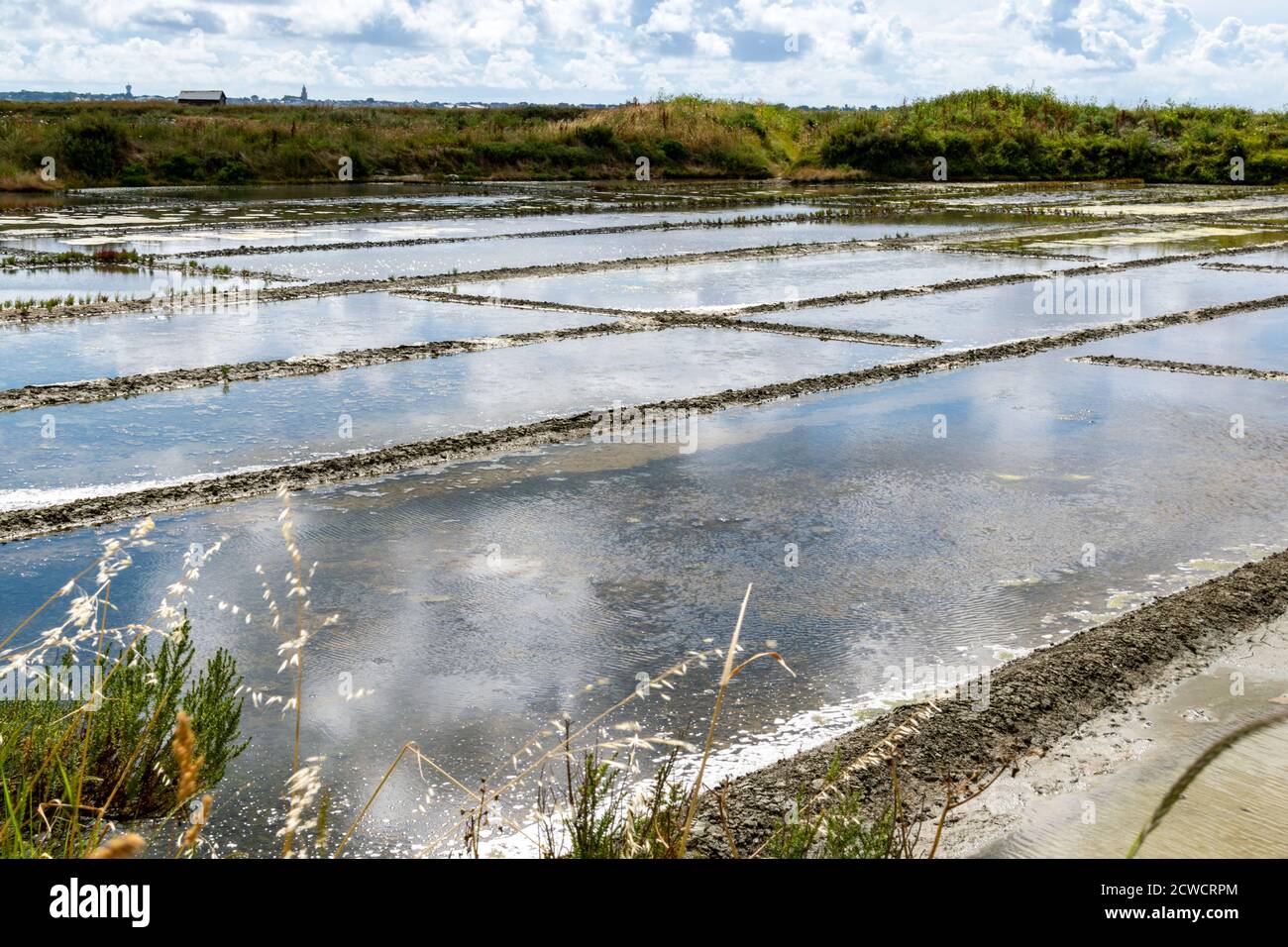 Resource sel hi-res stock photography and images - Alamy