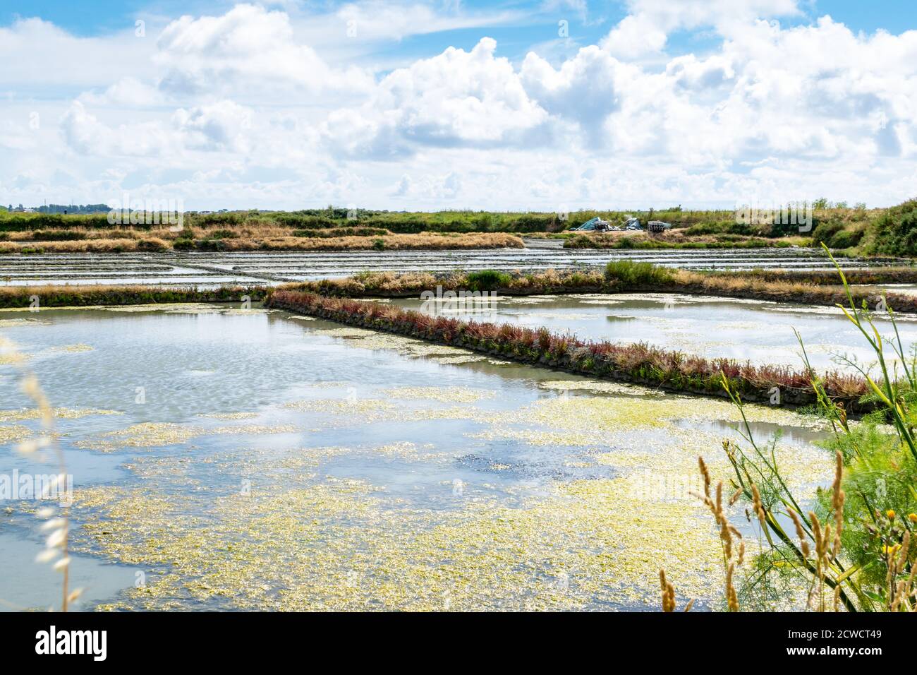 Resource sel hi-res stock photography and images - Alamy