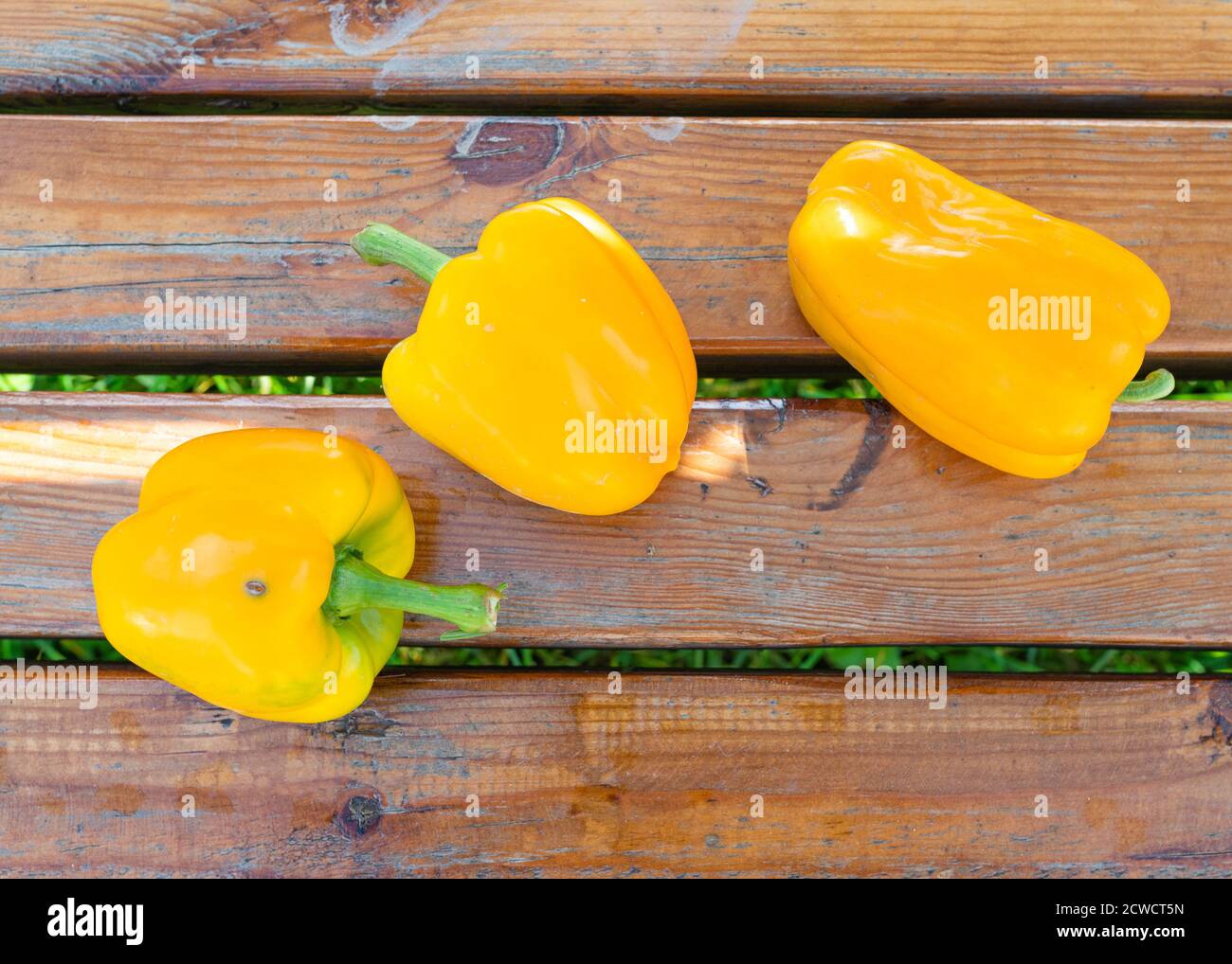 Yellow ripe freshly picked peppers on the wooden bench Stock Photo - Alamy