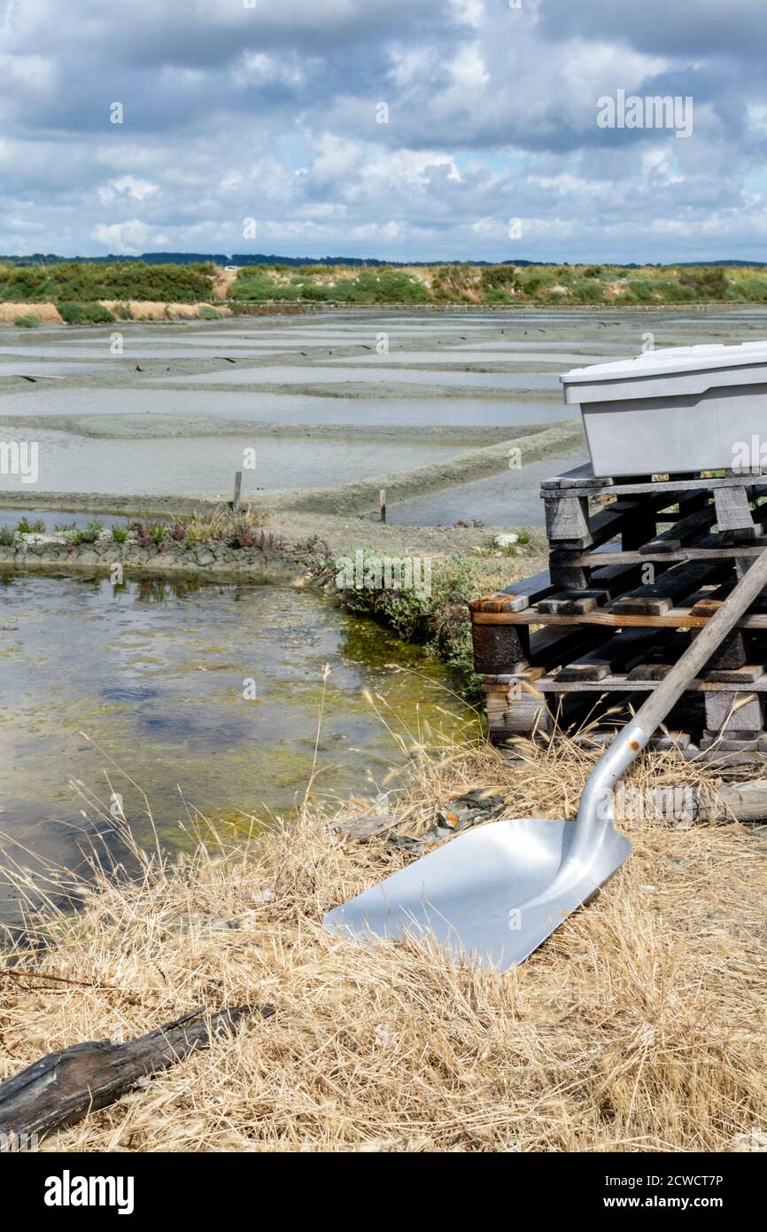 Saliculture High Resolution Stock Photography and Images - Alamy