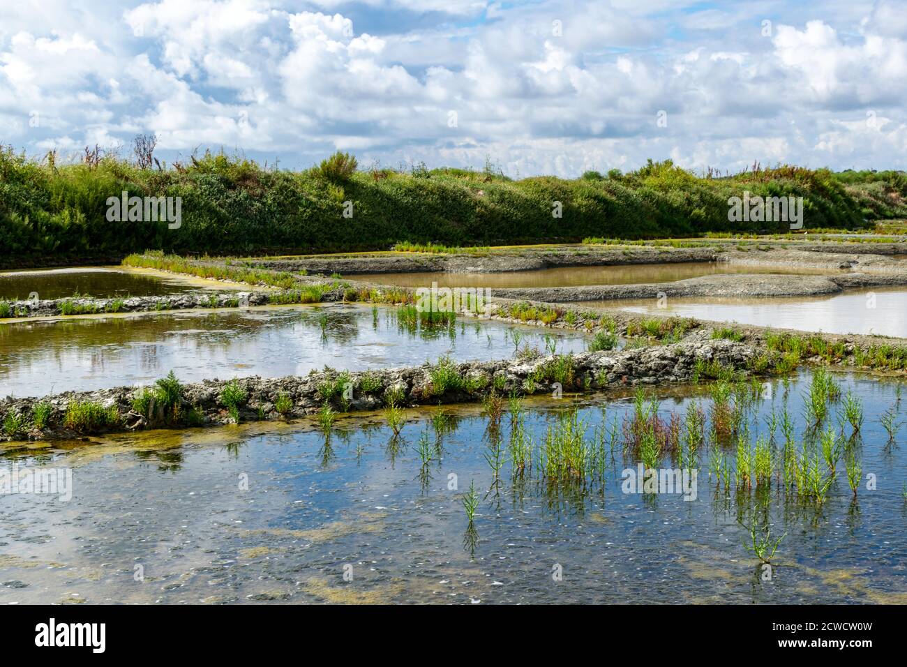 Resource sel hi-res stock photography and images - Alamy