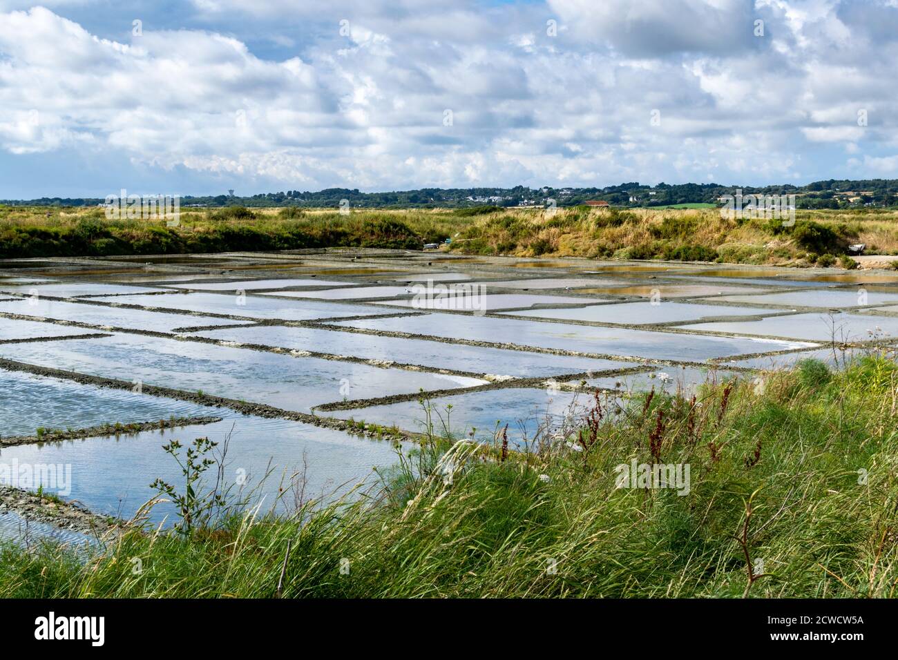 De sel flower of salt hi-res stock photography and images - Alamy