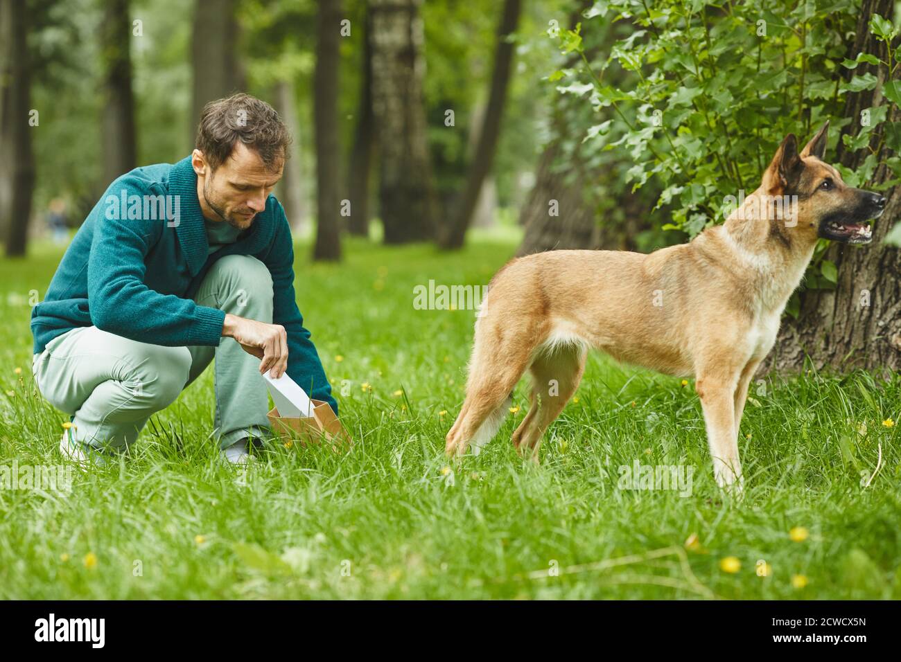 Cleaning up after dog hi-res stock photography and images - Alamy