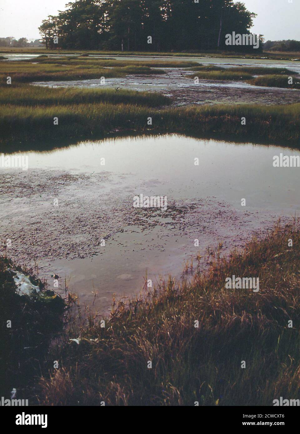 1970s rhode island hi-res stock photography and images - Alamy