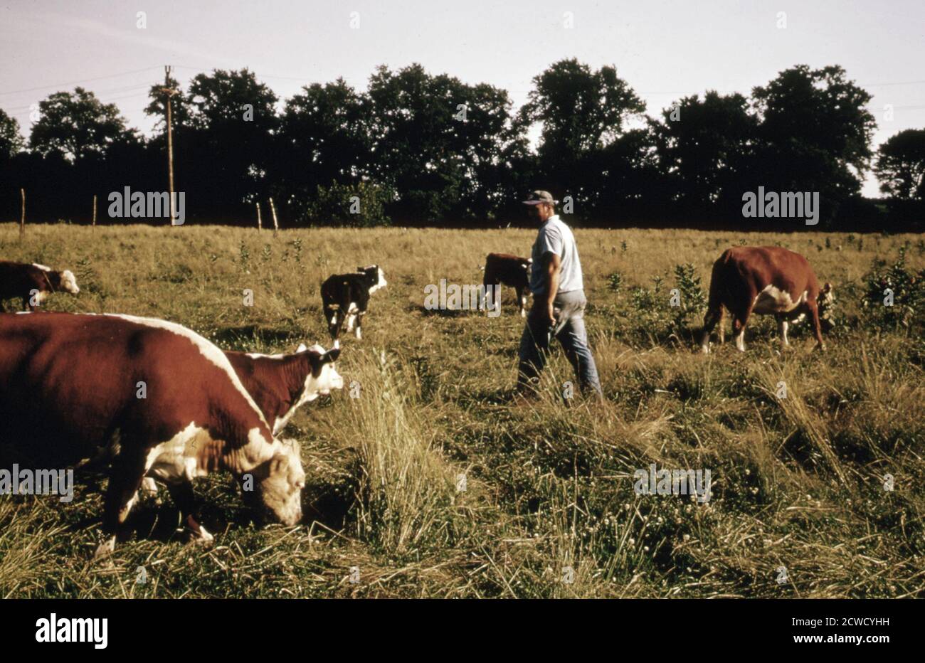 1970s farmer in new jersey hi-res stock photography and images - Alamy