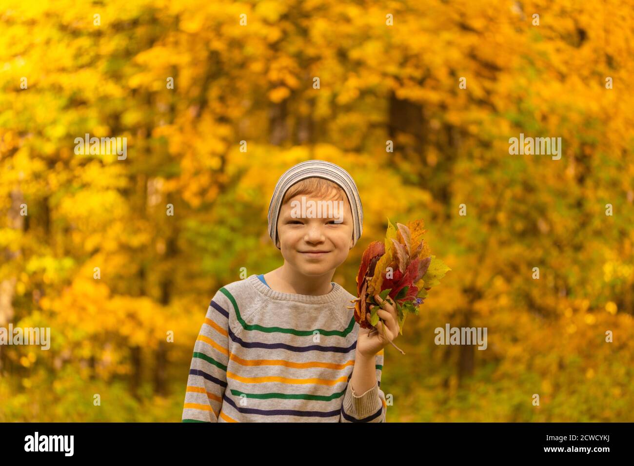 Autumn portrait of a happy boy in the autumn Park. Boy playing with ...