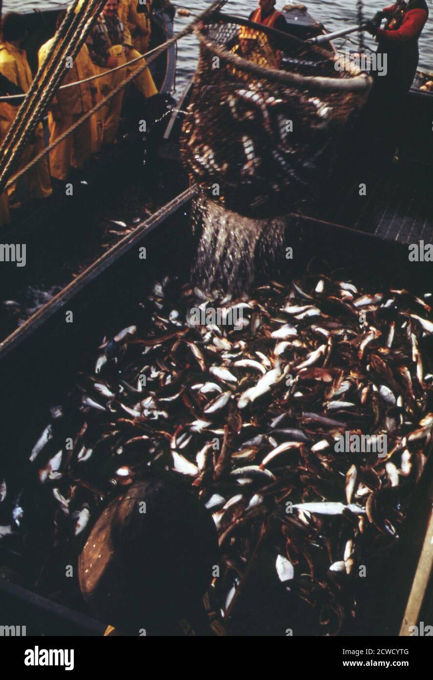 1970s fishermen with fish hi-res stock photography and images - Alamy