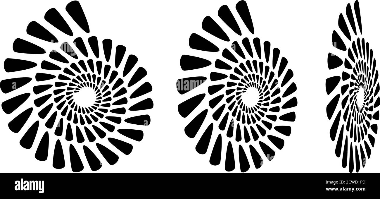 Spirals, swirls, twirls in perspective. Spiral vector illustration ...