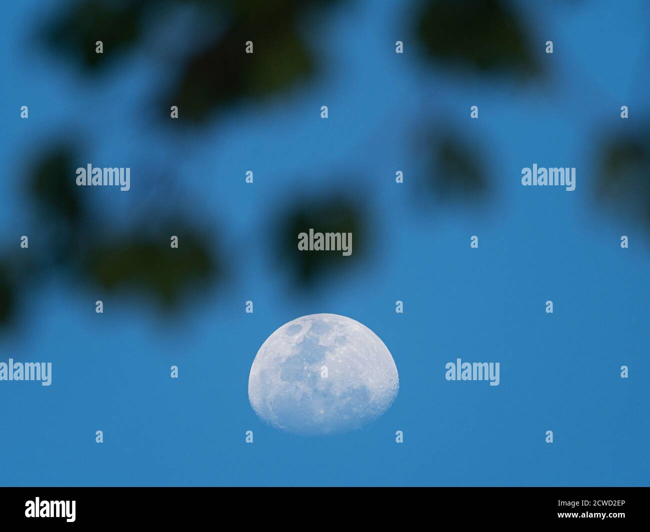 Planetary moon hi-res stock photography and images - Alamy