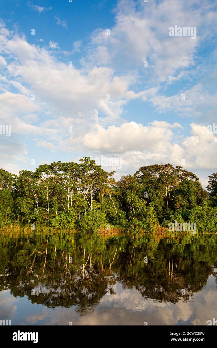 Rio pacaya hi-res stock photography and images - Alamy