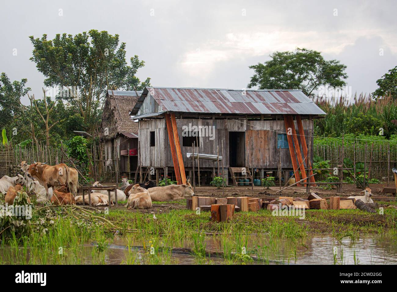 Village settlement houses hi-res stock photography and images - Alamy