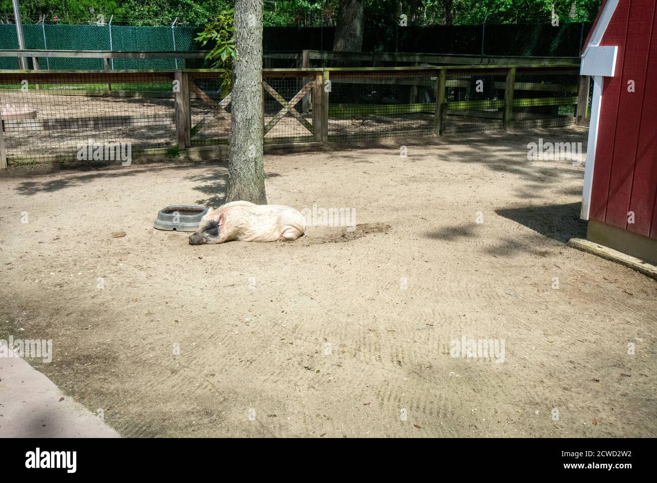 Run down zoo hi-res stock photography and images - Alamy