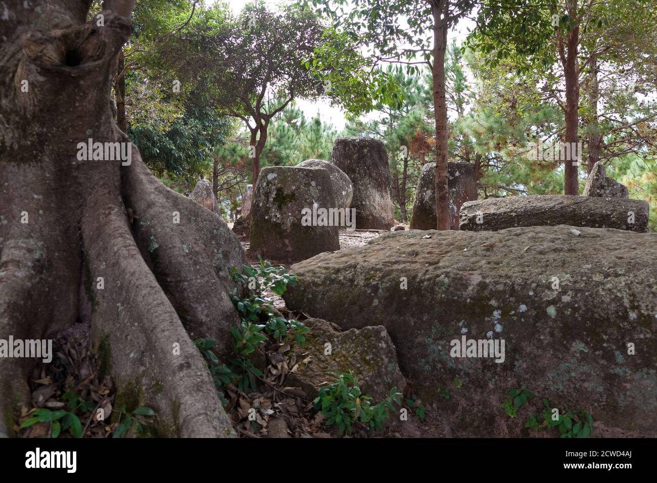 Plain of Jars, Phonsavan Laos mysterious location of stone jars 2000 ...