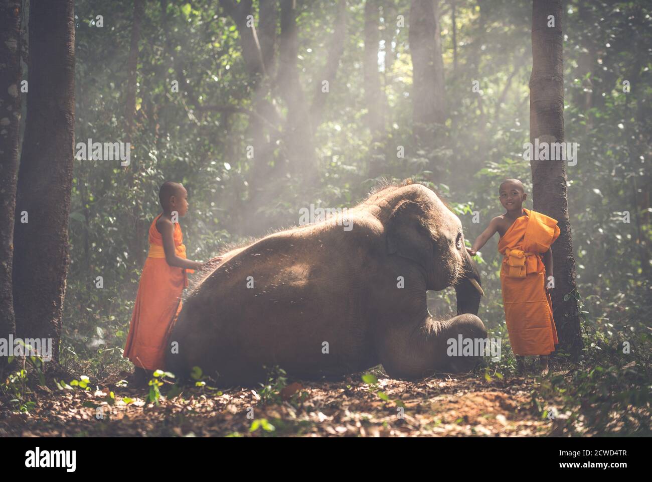 Monks pet hi-res stock photography and images - Alamy