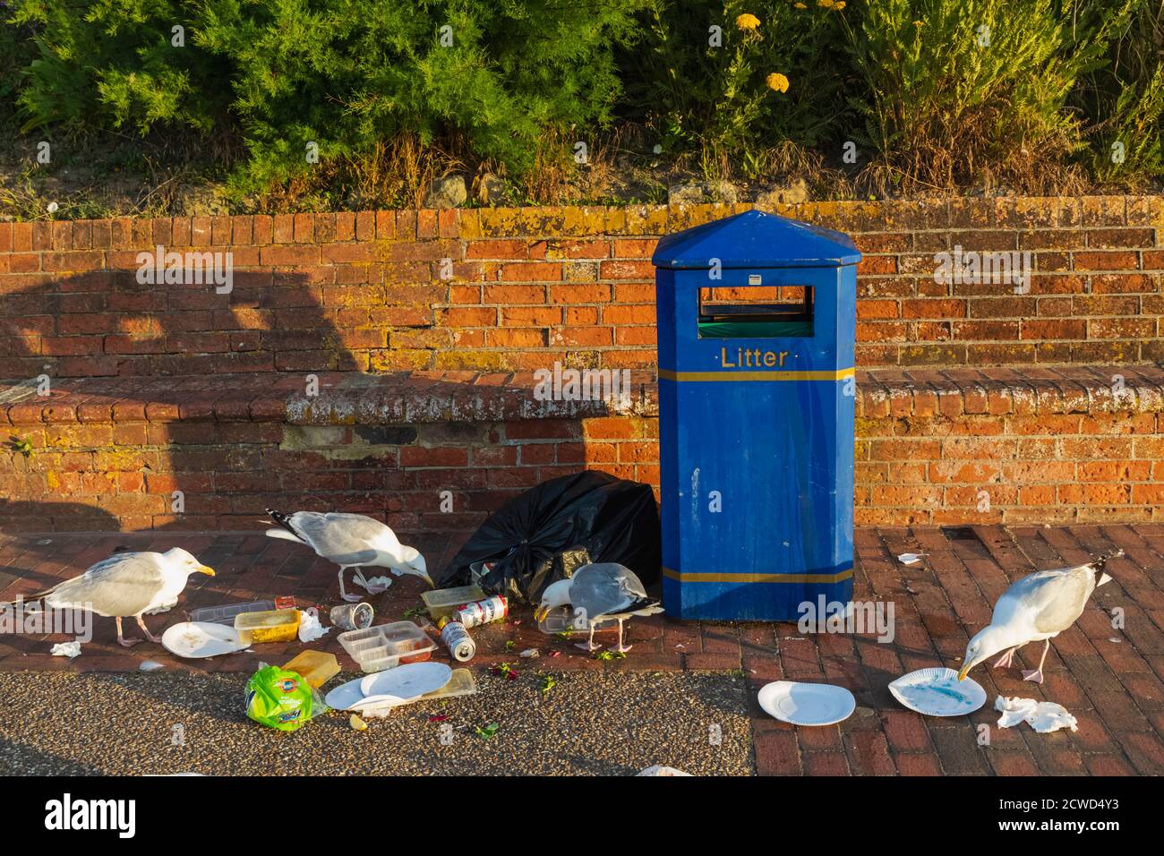 Fast food litter uk hi-res stock photography and images - Alamy