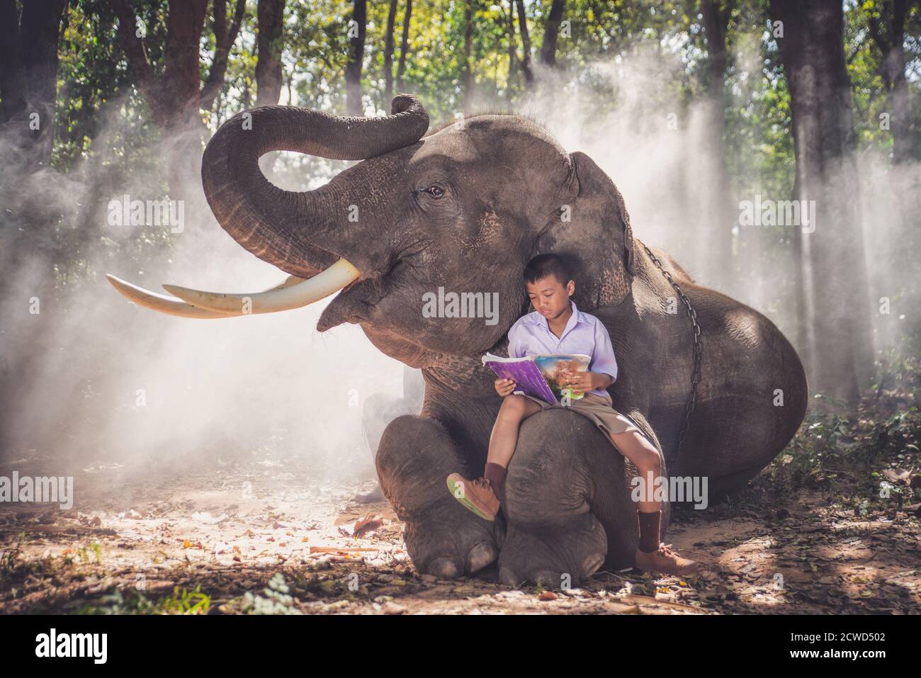 School boy playing in the jungle with his friend elephant Stock Photo ...