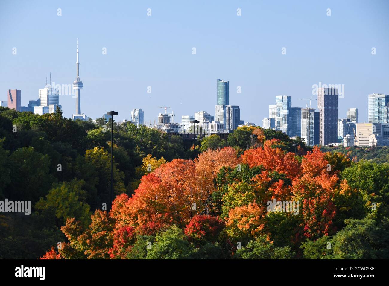 Toronto Skyline in Fall Stock Photo - Alamy