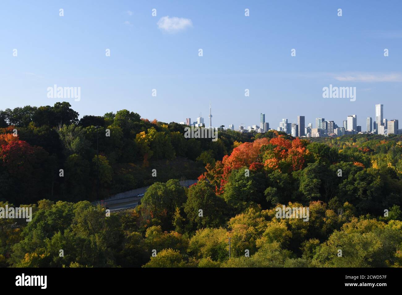 Toronto Skyline in Fall Stock Photo - Alamy