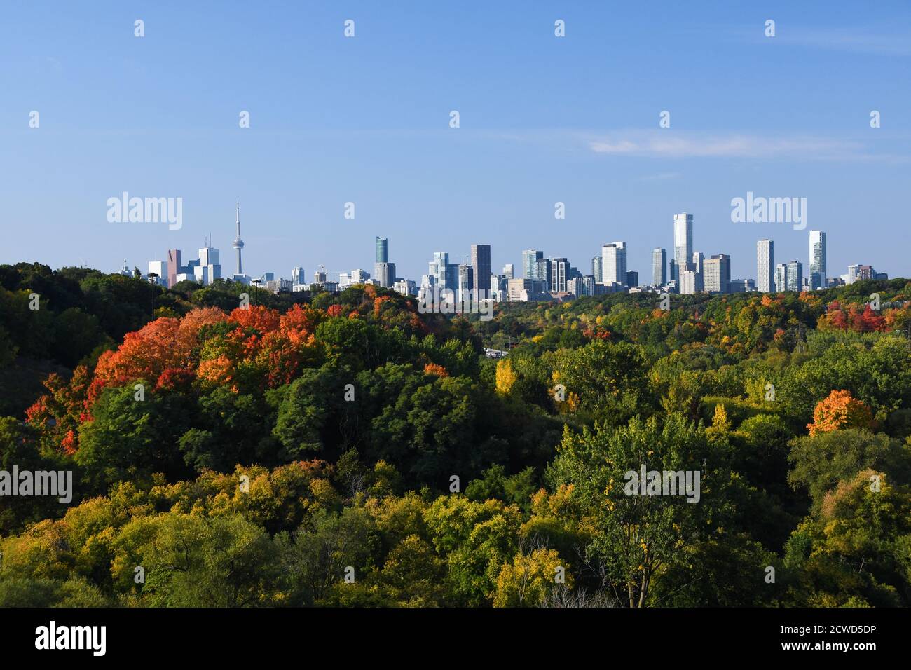 Toronto Skyline in Fall Stock Photo - Alamy