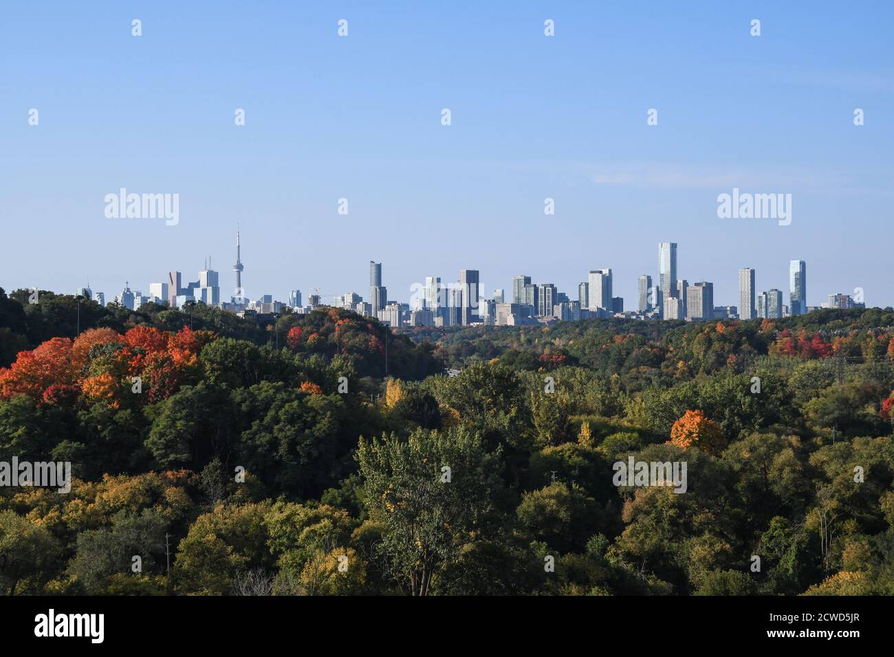 Toronto Skyline in Fall Stock Photo - Alamy