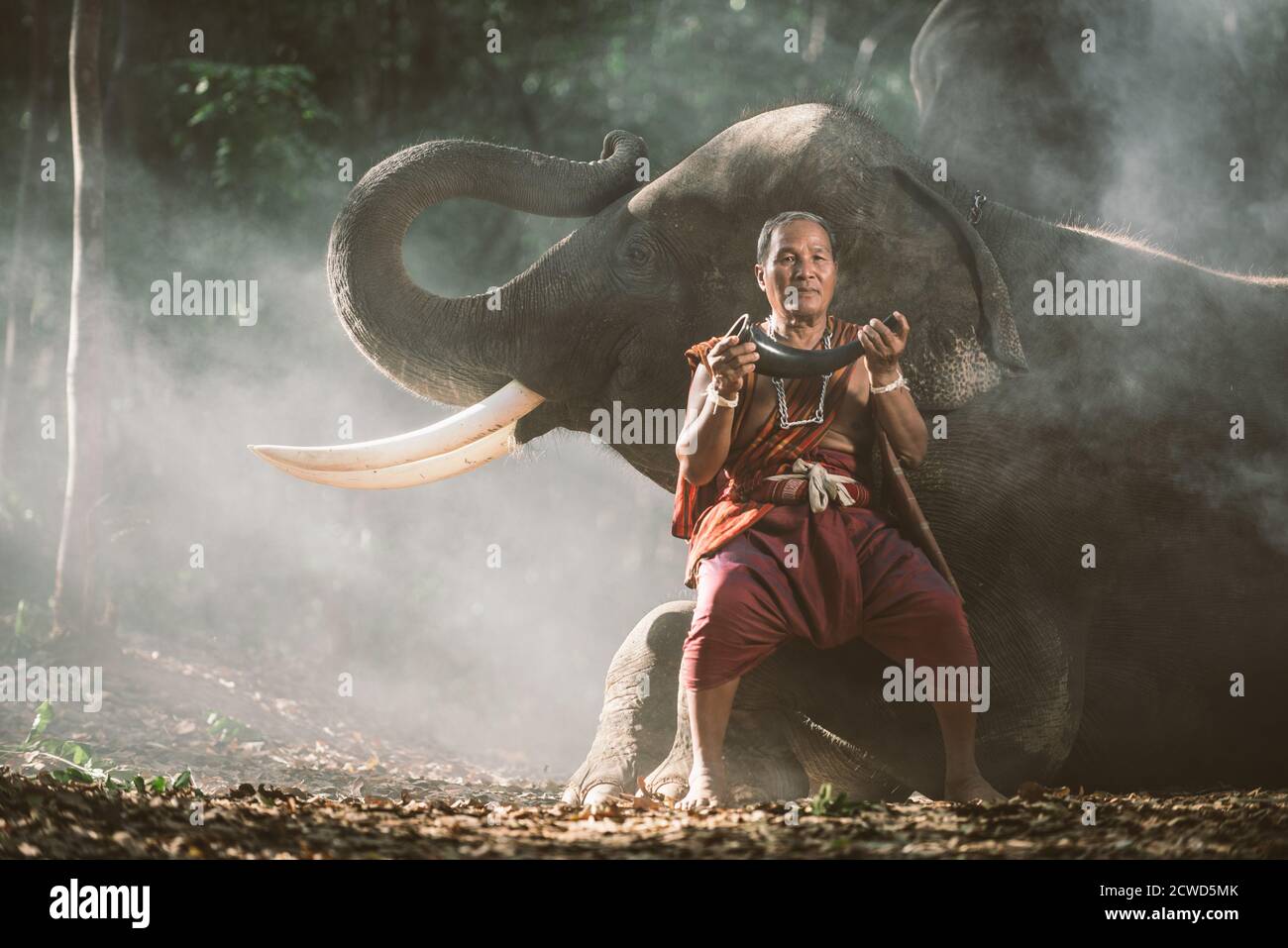 thai shepherds in the jungle with elephants. Historic lifestyle moments ...