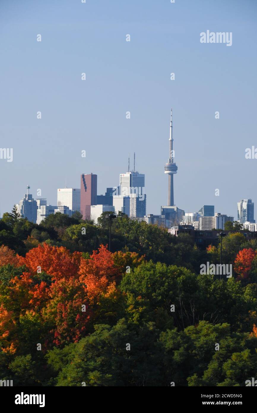 Toronto Skyline in Fall Stock Photo - Alamy