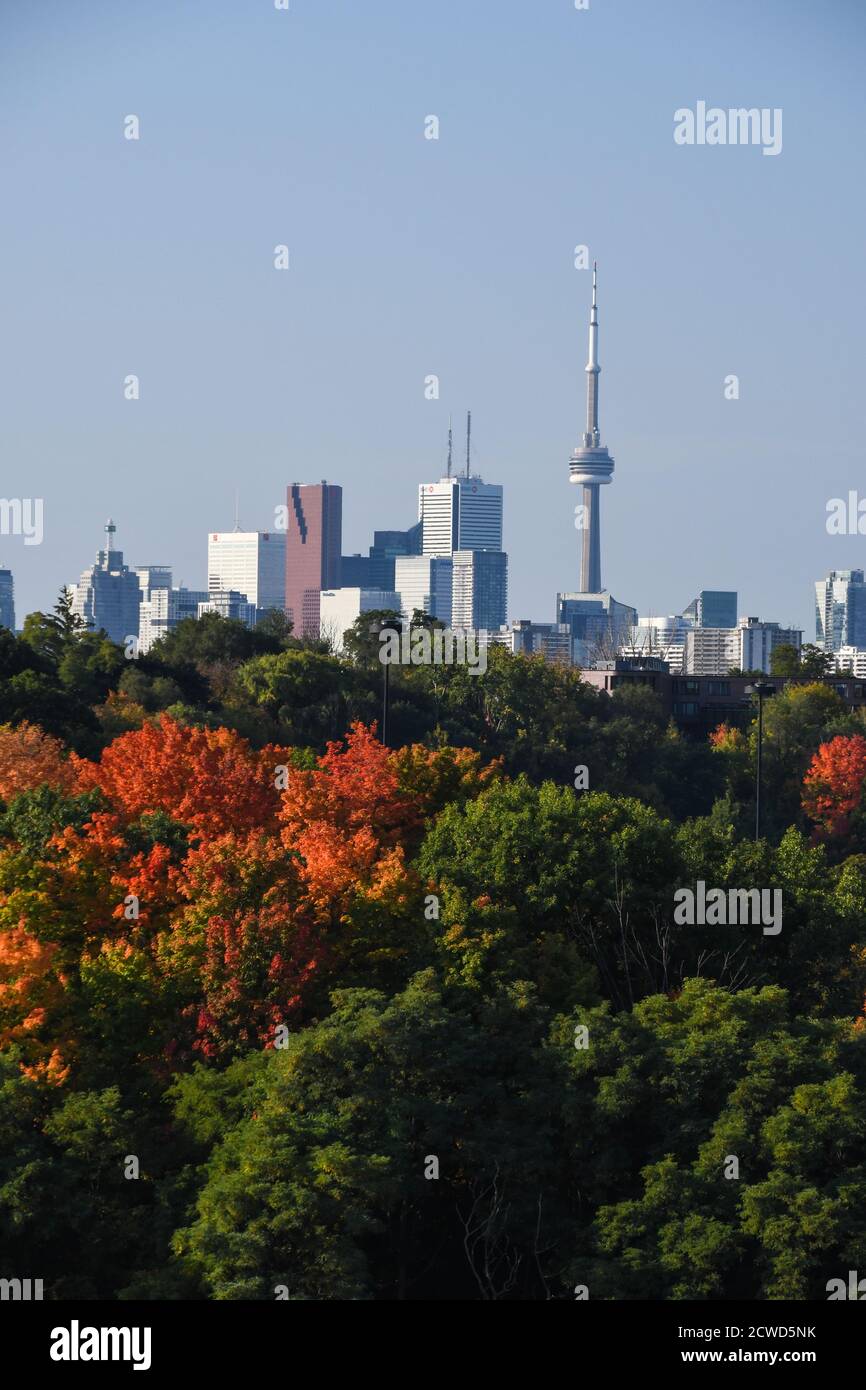 Toronto Skyline in Fall Stock Photo - Alamy