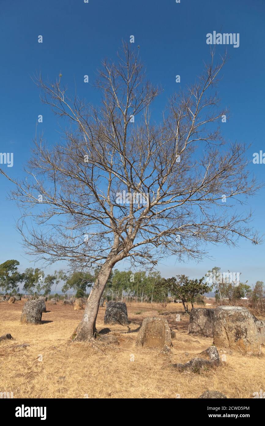 Plain of Jars, Phonsavan Laos mysterious location of stone jars 2000 ...