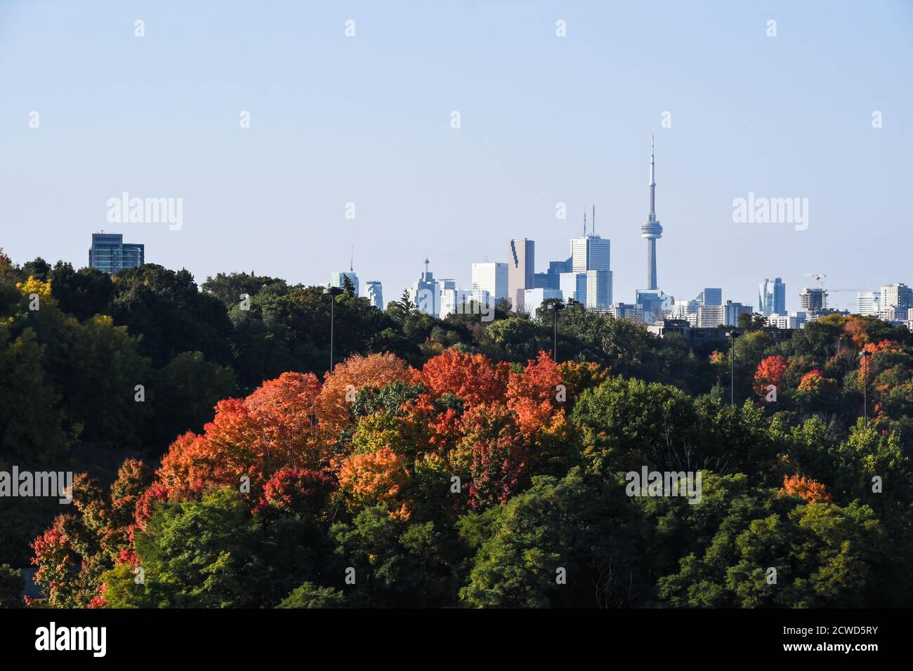 Toronto Skyline in Fall Stock Photo - Alamy