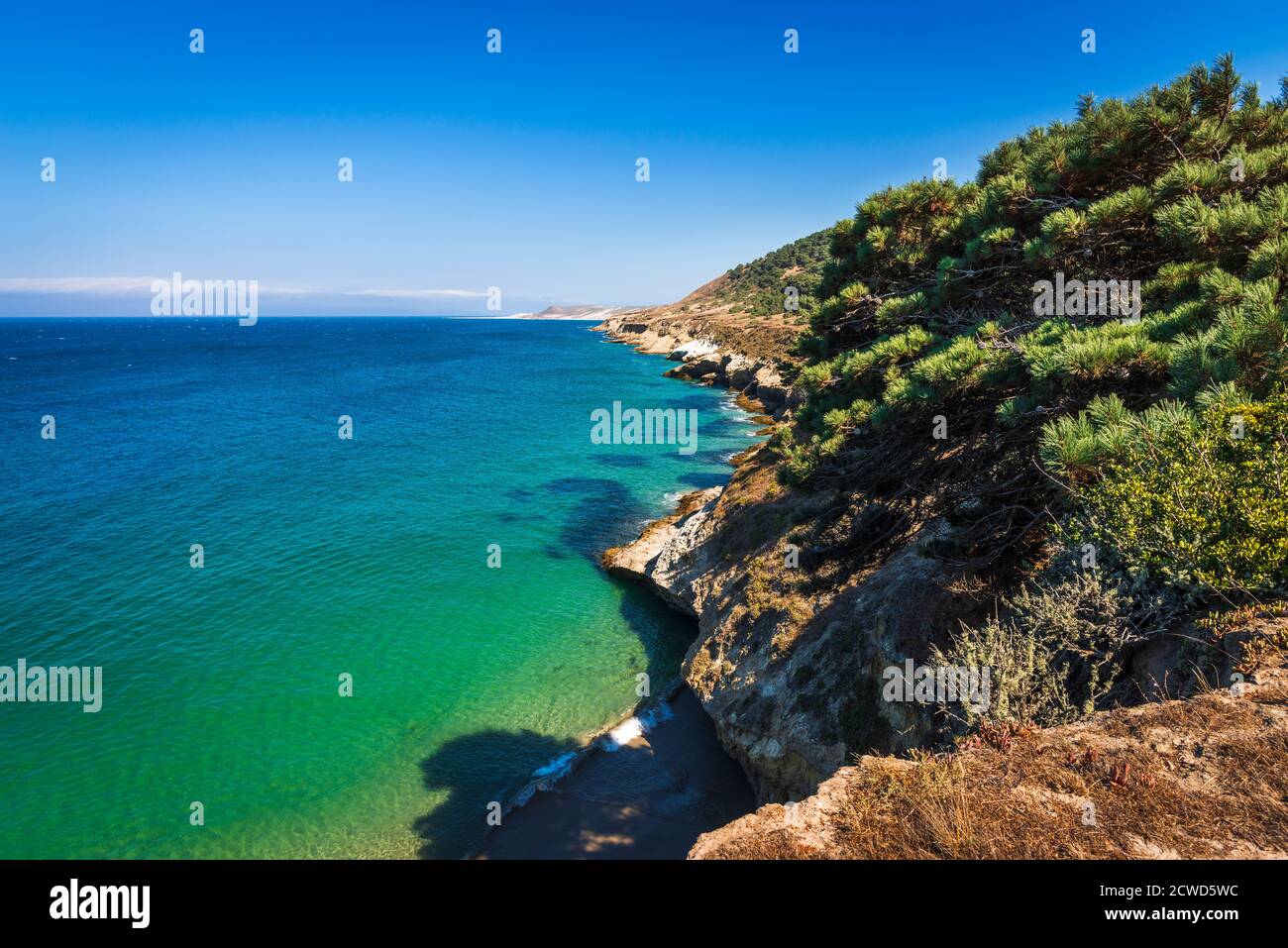 Santa Cruz Island from the Torrey Pines trail, Santa Rosa Island ...